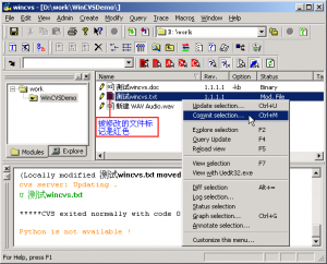 WinCVS操作手册 | ChiefLeo博客