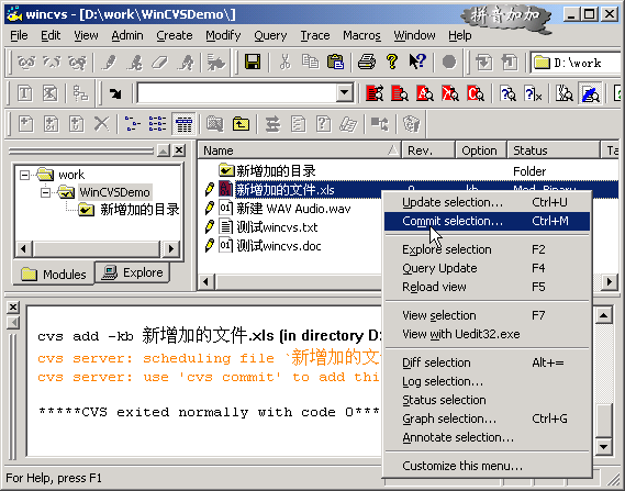 WinCVS操作手册 | ChiefLeo博客